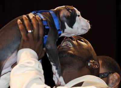 14 Pictures Of DMX & Dogs (PHOTOS) | Global Grind