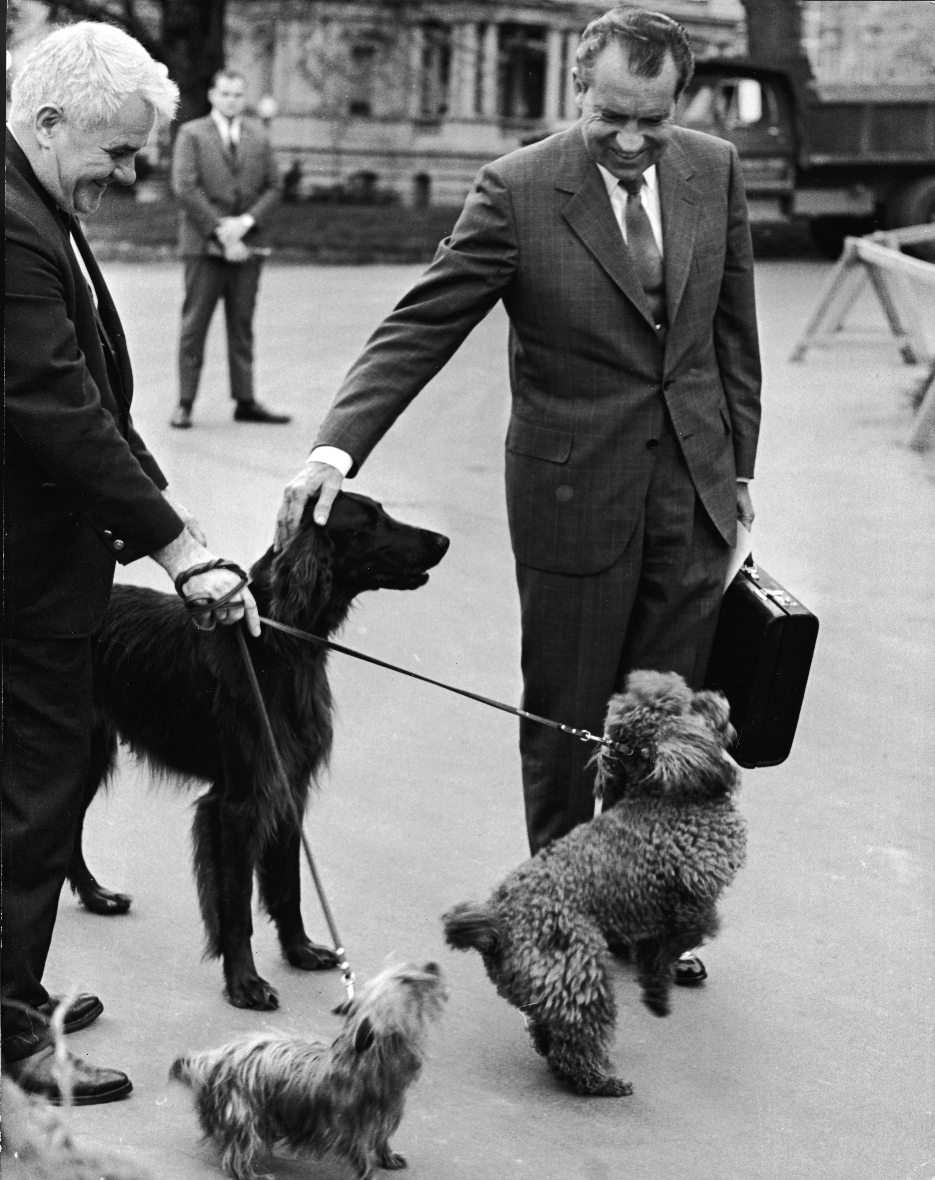 The Cutest White House Dogs & The Presidents Who Love Them (PHOTOS ...