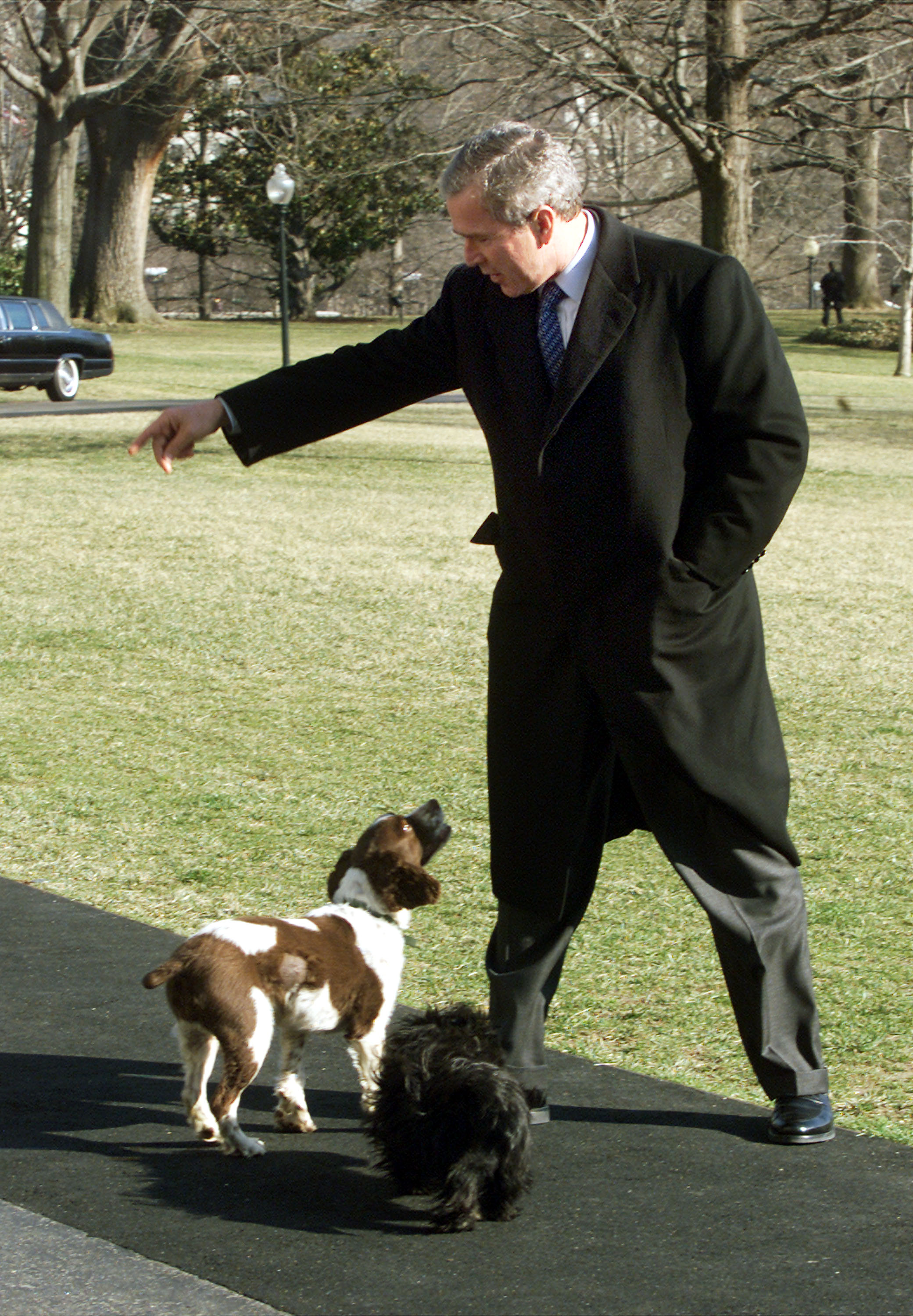 The Cutest White House Dogs & The Presidents Who Love Them (PHOTOS ...