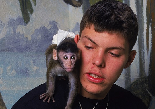 The 10 Most Famous Monkeys Of All Time (PHOTOS) | Global Grind
