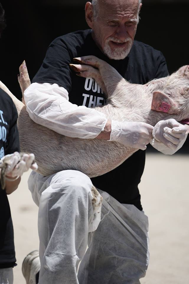 Simone Reyes Cradles Deceased Animals At NARD As A Call To Action | Global Grind