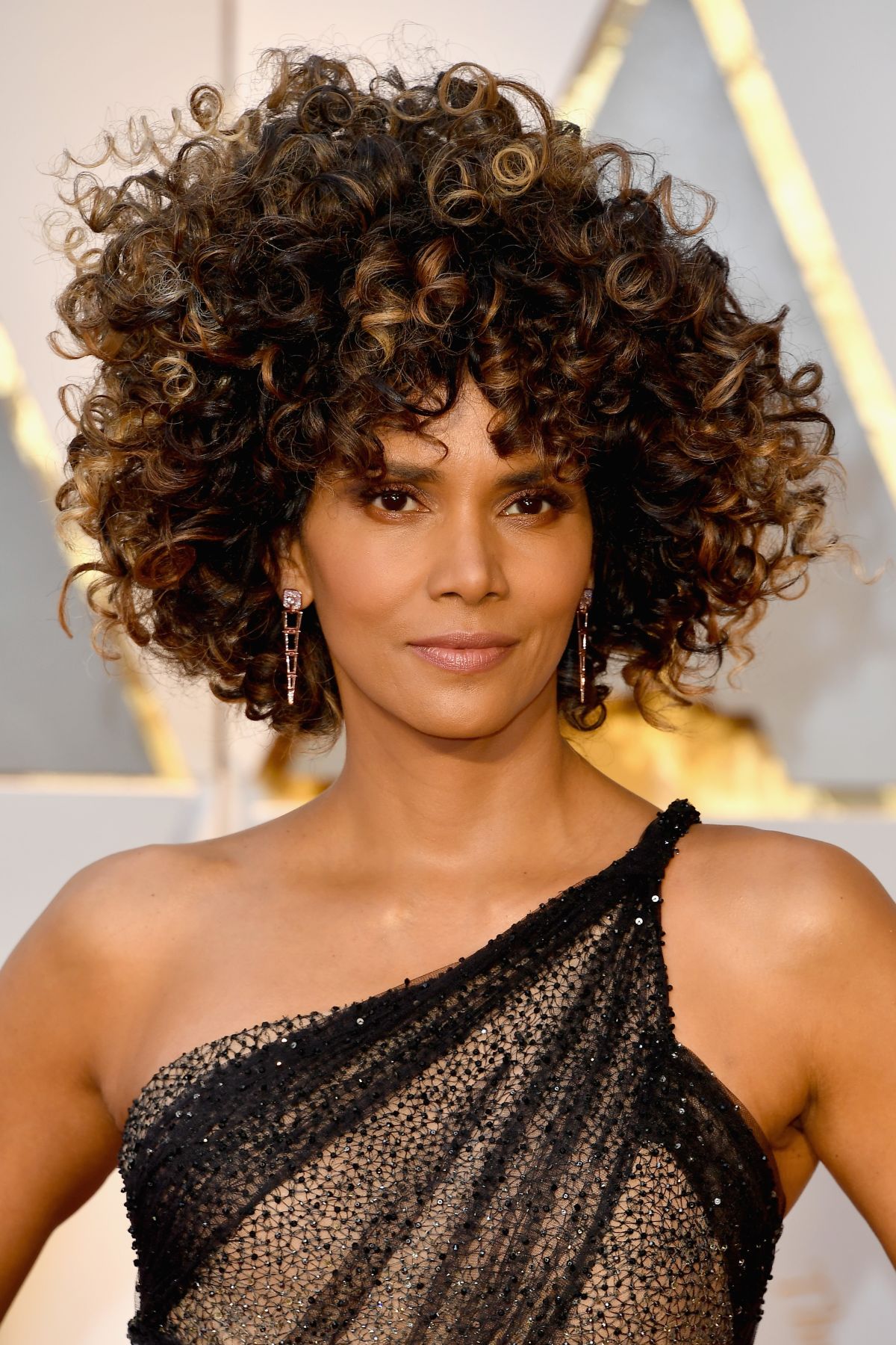 Twitter Saw Halle Berry's Wig At The Oscars And Lost It